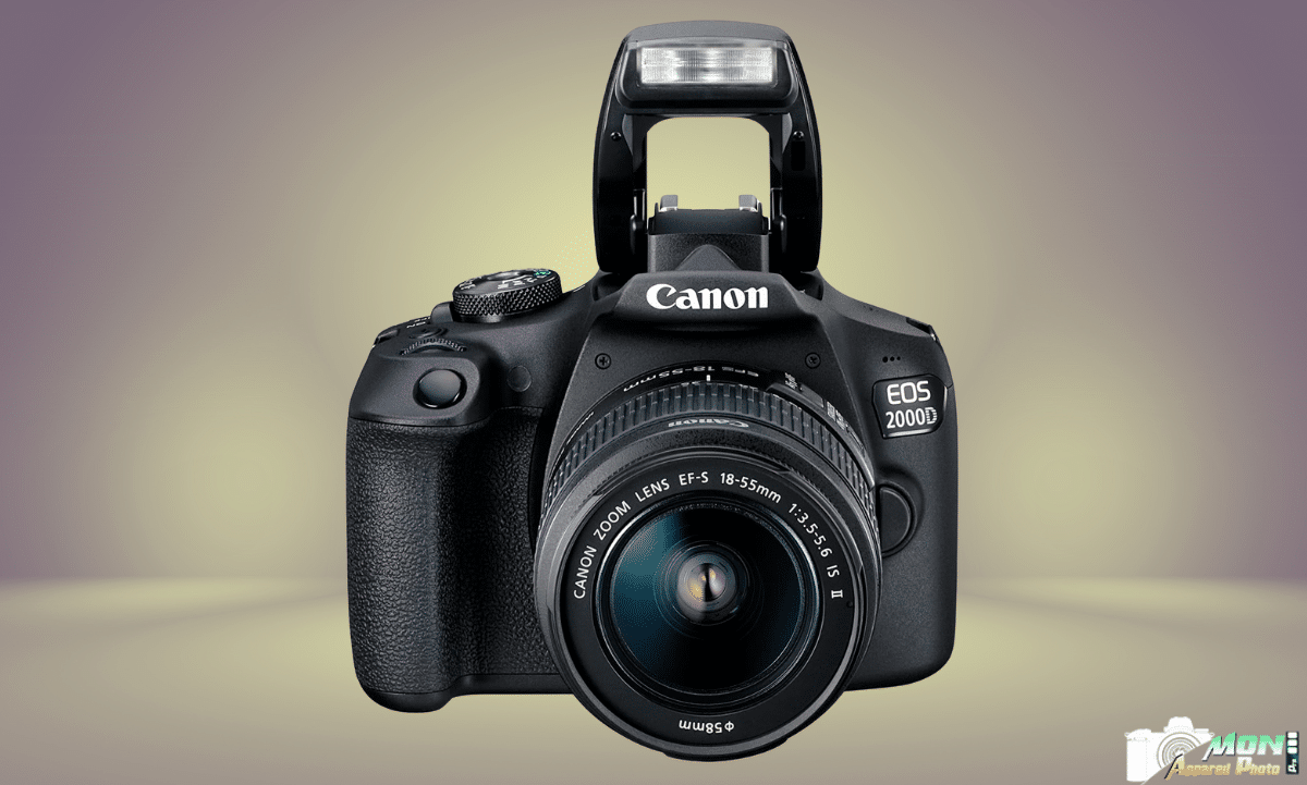 Avis sur le Canon EOS 2000D - Parfait pour débuter