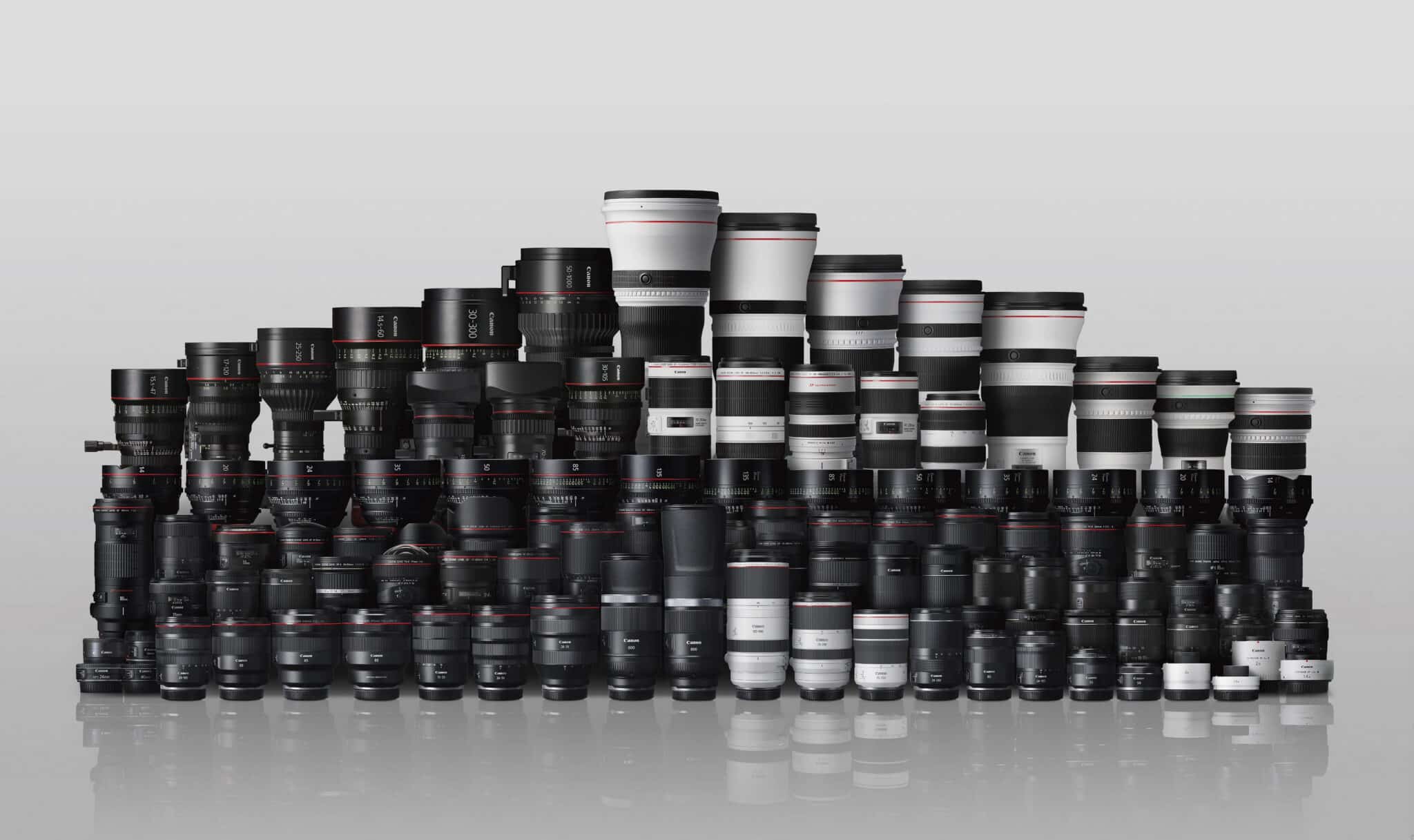Meilleurs Objectifs Canon: Comparatif Expert pour 2026