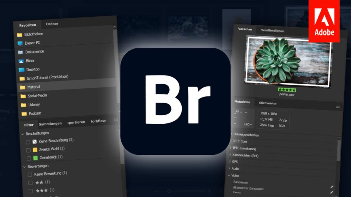 Adobe Bridge : le guide ultime