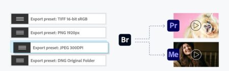 Adobe Bridge : le guide ultime