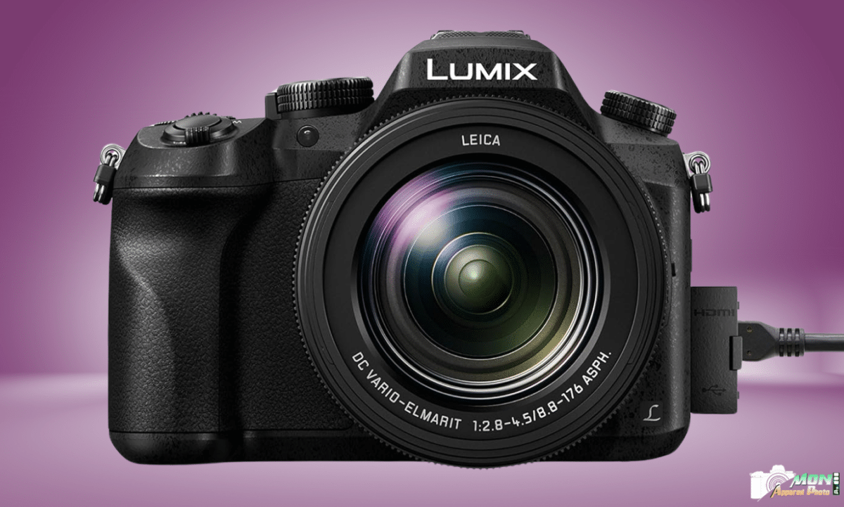 10 meilleurs appareils photo bridge amateurs et professionnels