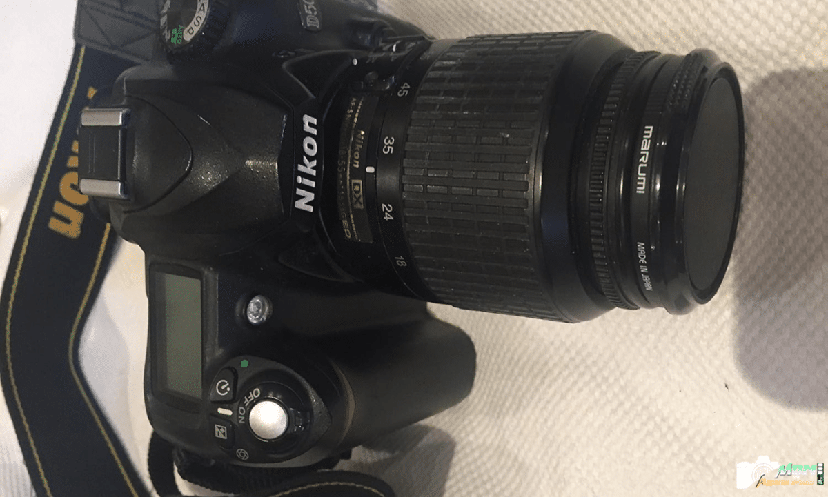 Nikon D50 : L'Appareil Photo Reflex qui Défie le Temps